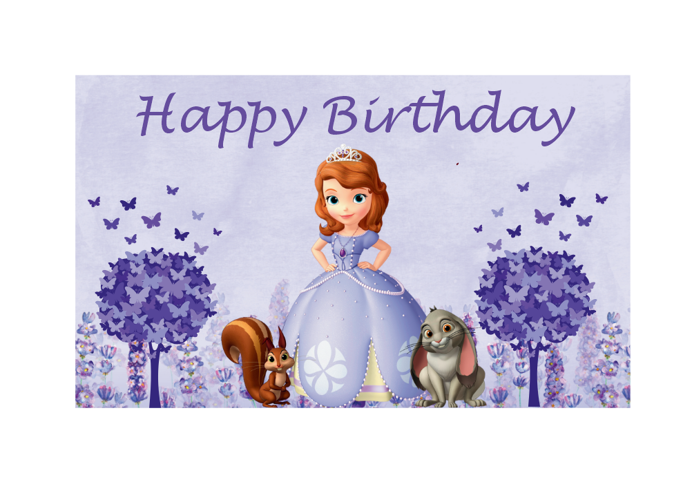Princess Sofia Birthday Banner | Shop Today. Get it Tomorrow! | takealot.com