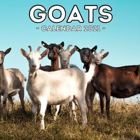 Goats Calendar 2021: 16-Month Calendar, Cute Gift Idea For Goat Lovers ...