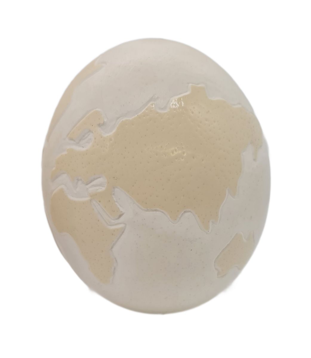 Ostrich Egg Lamp Shade with World Map Etching | Shop Today. Get it ...