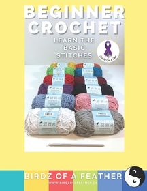 Beginner Crochet: Learn the Basics | Shop Today. Get it Tomorrow ...