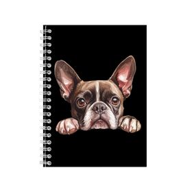 Boston Terrier 3 A5 Notebook Spiral Lined Notepad Dog Idea 373 | Shop ...
