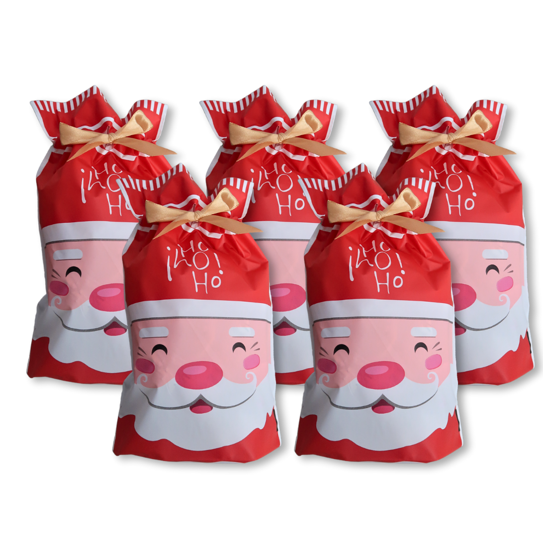 5pcs Christmas Gift Bags with Gold Drawstring Red Santa HoHoHo | Shop ...