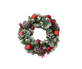Harvard Frosted Wreath 50cm – 53 Tips | Shop Today. Get it Tomorrow ...