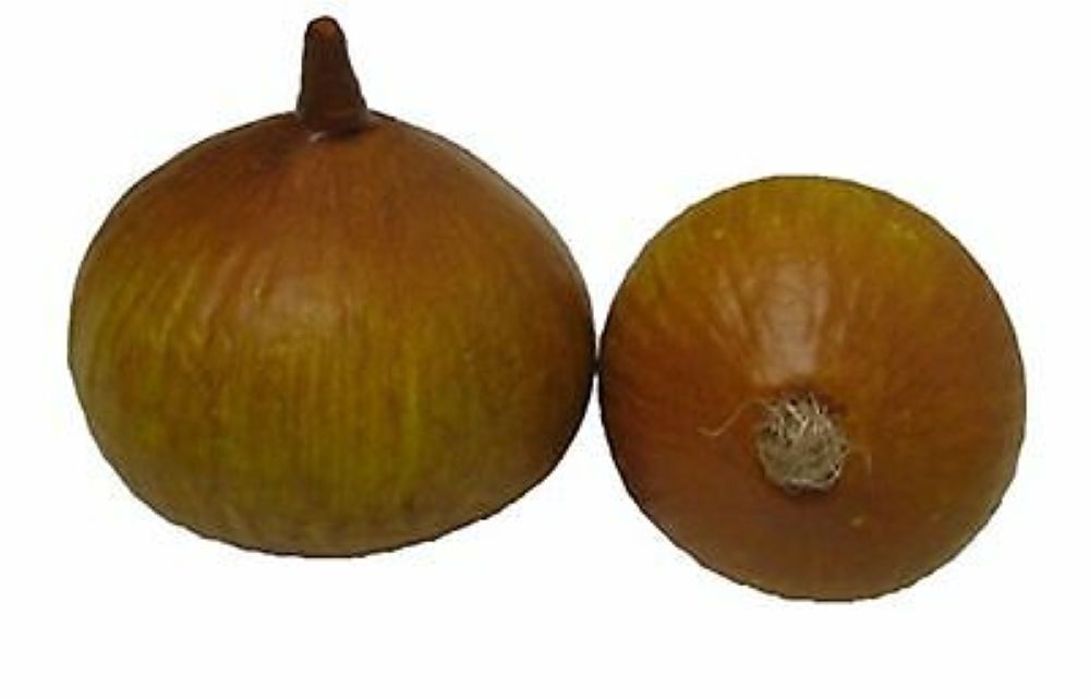 Artificial/Fake/Decorative Onion | Shop Today. Get it Tomorrow ...