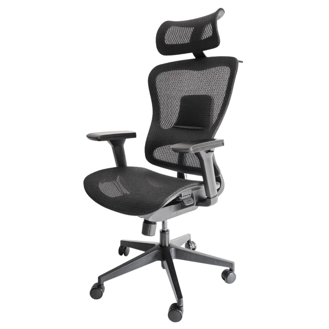 Executive Ergonomic Office Chair - Gravity | Shop Today. Get it ...