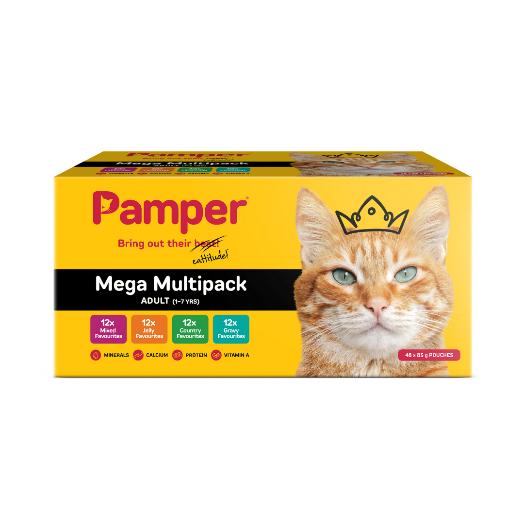 Pamper Adult Wet Cat Food Mega Multi Pack (48 x 85g) Sachets | Shop Today. Get it Tomorrow ...