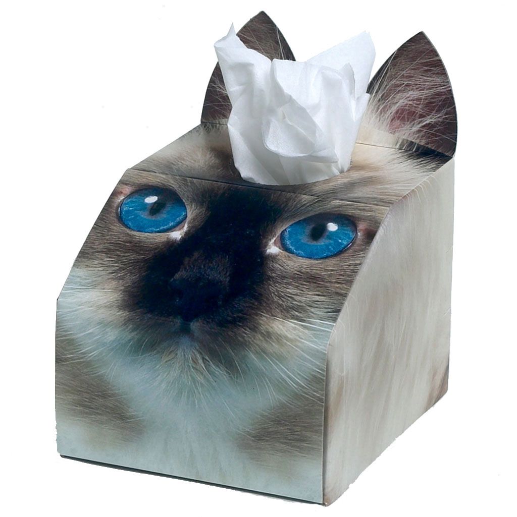 Cat Tissue Gift Box - Birman | Shop Today. Get it Tomorrow! | takealot.com