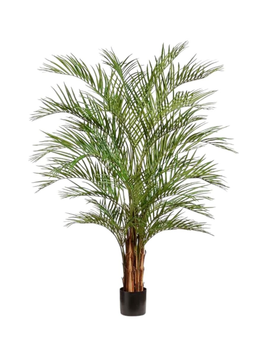 Artificial Areca Palm Multistem Tree 150cm | Shop Today. Get it ...