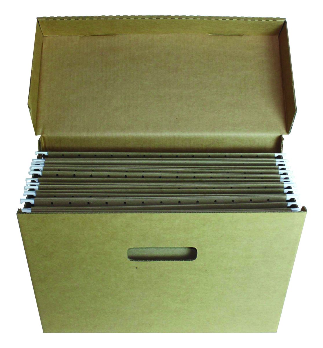 Files Kraft Suspension Filing Box plus 10 Suspension Files | Shop Today ...