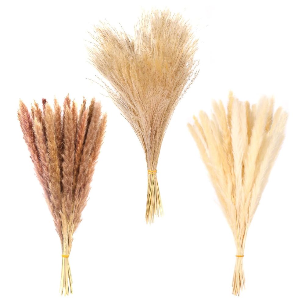 Home Decor Colourful Assorted Dried Fluffy Reed Grass Set of 60 (50cm ...