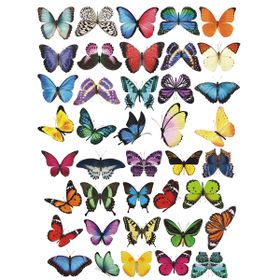 Anti-Collision Window Decals (Not Stickers) - Butterfly Bundle - Set 1 ...