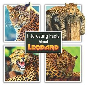 Interesting Facts About Leopard | Shop Today. Get it Tomorrow ...