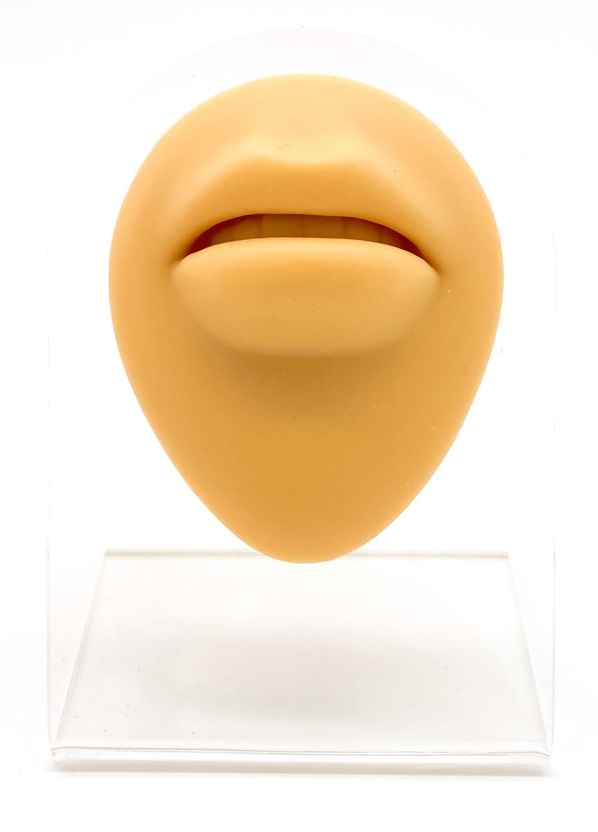 Fabulae Silicone Mouth Body Part Display | Shop Today. Get it Tomorrow ...