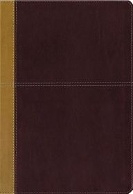 KJV, Amplified, Parallel Bible, Large Print, Leathersoft, Tan/Burgundy ...