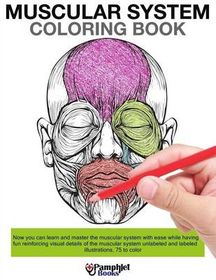 Muscular System Coloring Book: Now you can learn and master the ...
