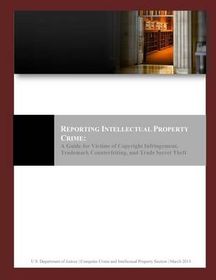 Reporting Intellectual Property Crime: A Guide for Victims of Copyright ...