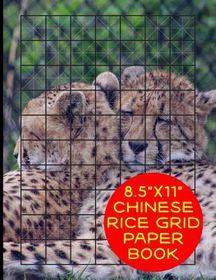 8.5x11 Chinese Rice Grid Paper Book | Shop Today. Get it Tomorrow ...
