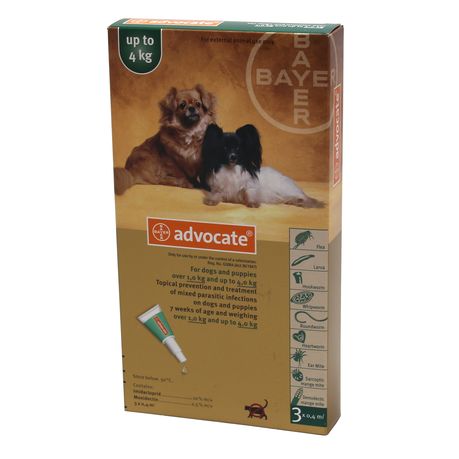 How Long Does It Take For Advocate To Work On A Dog