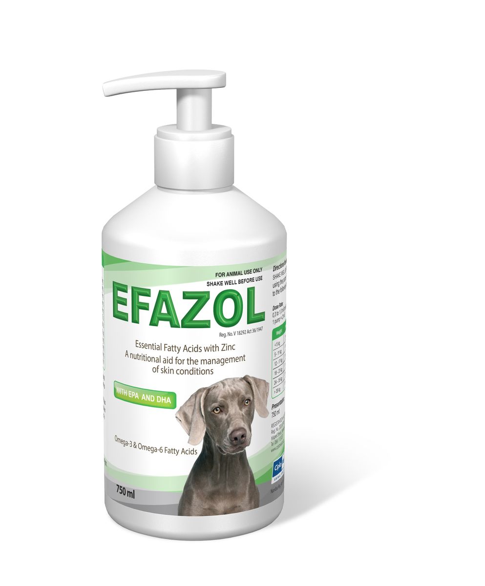 Efazol Plus 750ml | Shop Today. Get it Tomorrow! | takealot.com