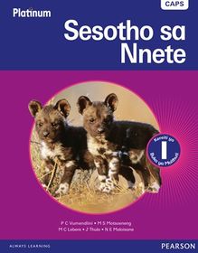 Platinum sesotho sa nnete: Gr 1: Learner's book | Shop Today. Get it ...