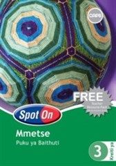 Spot On Mathematics Grade 3 Learner's Workbook (Sepedi) : Grade 3 ...