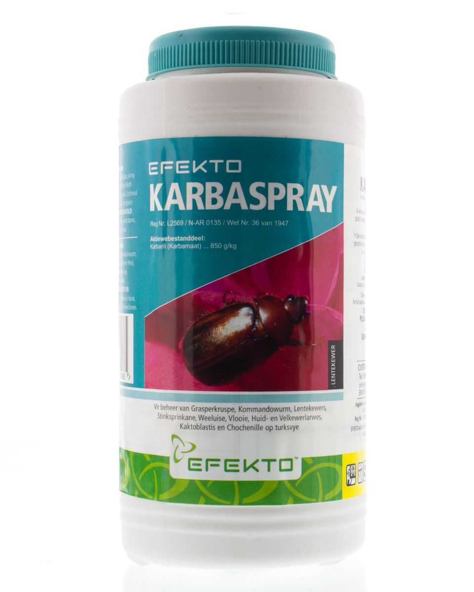 Efekto Karbaspray Insecticide 200g | Shop Today. Get it Tomorrow ...