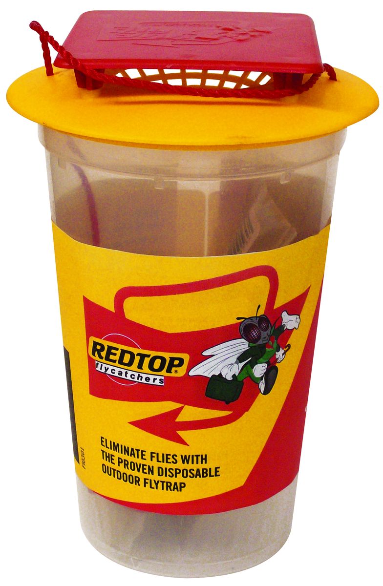 Redtop - Fly Catcher Cup Trap | Shop Today. Get it Tomorrow! | takealot.com