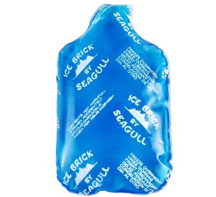 Bulk Pack 10 x Ice-Brick Plastic Clear - Medium 400g | Shop Today. Get ...