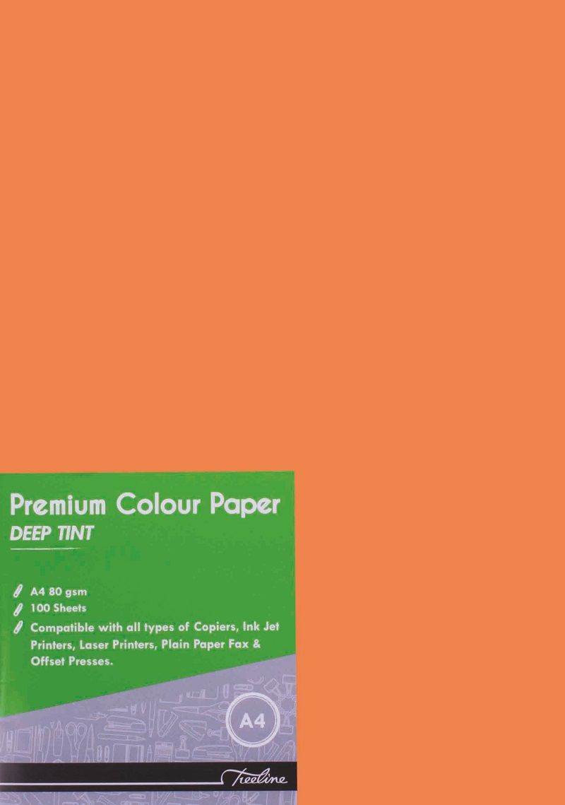 Treeline Paper Premium Deep Tint 80gsm Saffron A4 (100 Sheets) | Shop ...