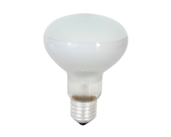 Eurolux Reflector Lamp - R80 100W E27 | Shop Today. Get it Tomorrow ...