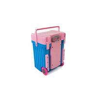 Cadii School Bag - Pink Lid with Blue Body | Buy Online in South Africa ...