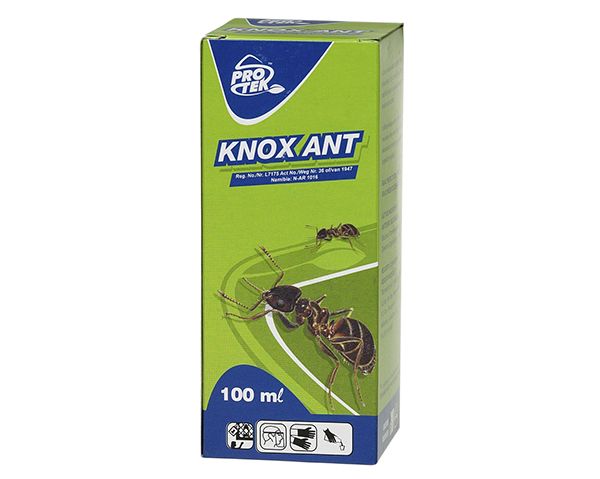 Protek Knox Ant Insecticide - 100ml | Shop Today. Get it Tomorrow ...