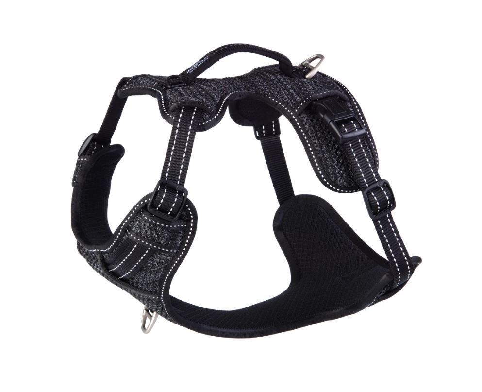 Rogz - Utility Large Fanbelt Explore Harness | Shop Today. Get it ...