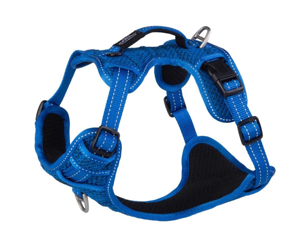 Rogz - Utility Medium Snake Explore Harness | Shop Today. Get it ...