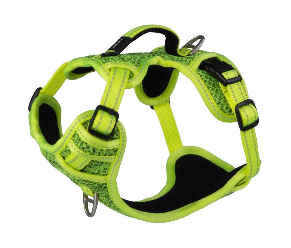 Rogz - Utility Small Nitelilfe Explore Harness | Buy Online in South ...
