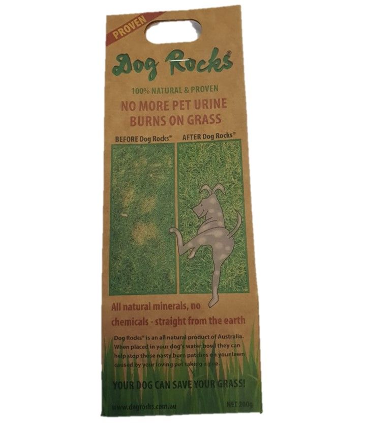 Dog Rocks | Shop Today. Get it Tomorrow! | takealot.com