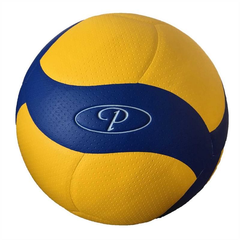 Premier PV2000 Volleyball Ball | Shop Today. Get it Tomorrow ...