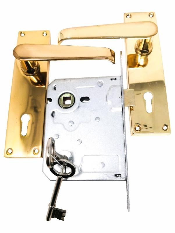 Solid Brass Lever Handle on Back Plate | Shop Today. Get it Tomorrow ...