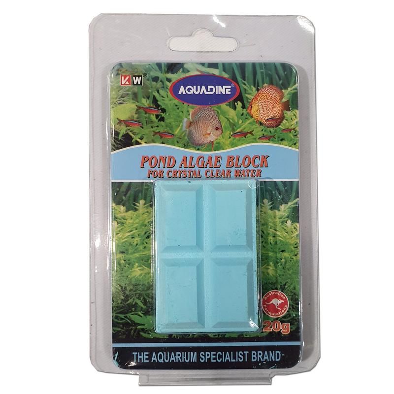 Aquadine Pond Algae Block 20g | Shop Today. Get it Tomorrow! | takealot.com