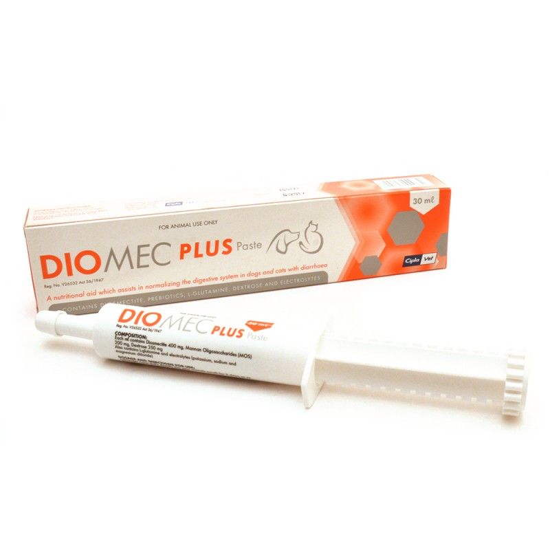 Diomec Plus Paste 30ml | Shop Today. Get it Tomorrow! | takealot.com
